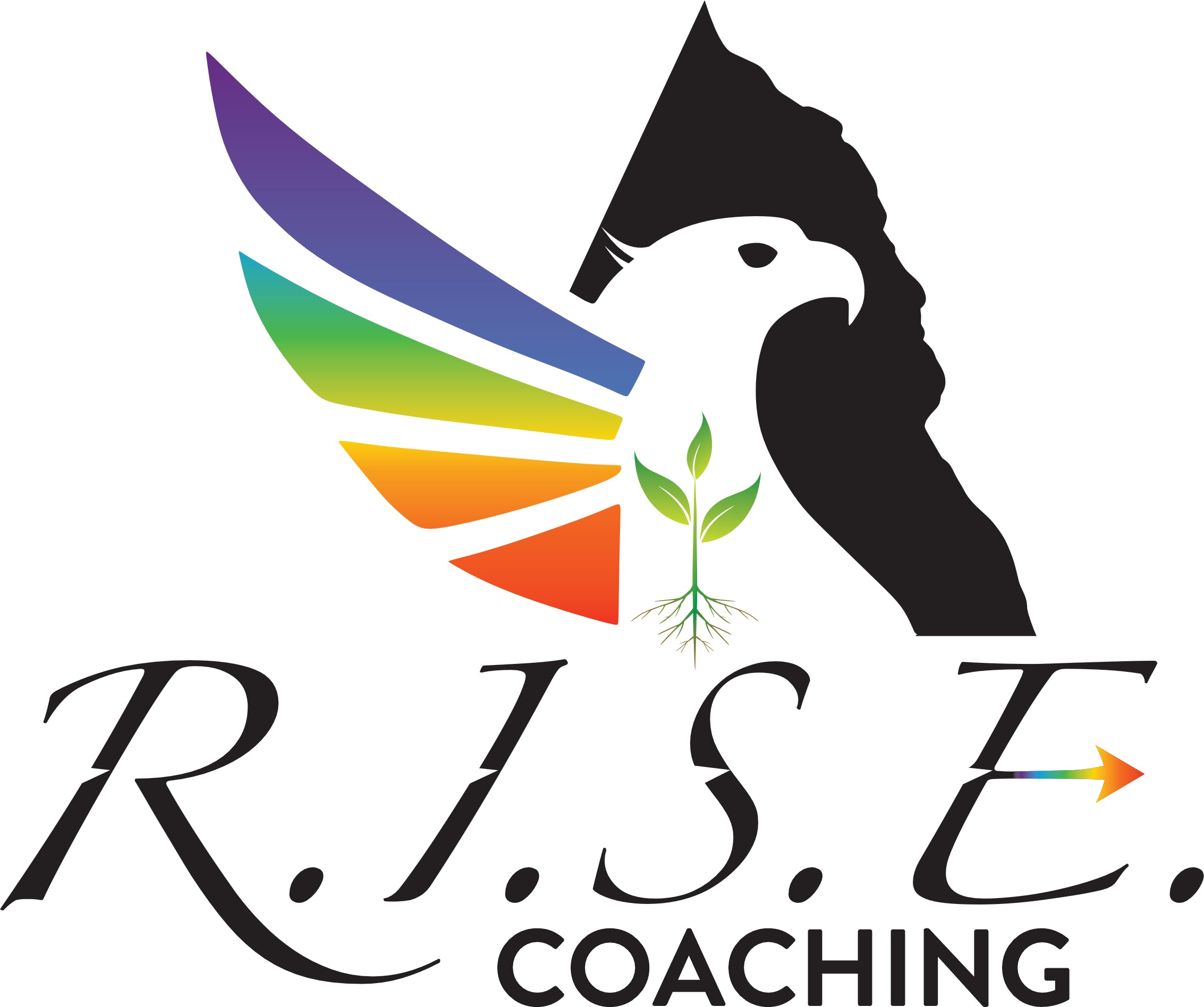 Moderator FAQ – Rise Coaching